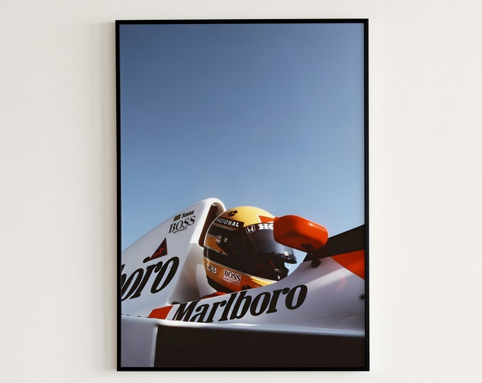 Formula 1 Posters *BUNDLE*| Retro Travel Poster | Boyfriend Gift ...
