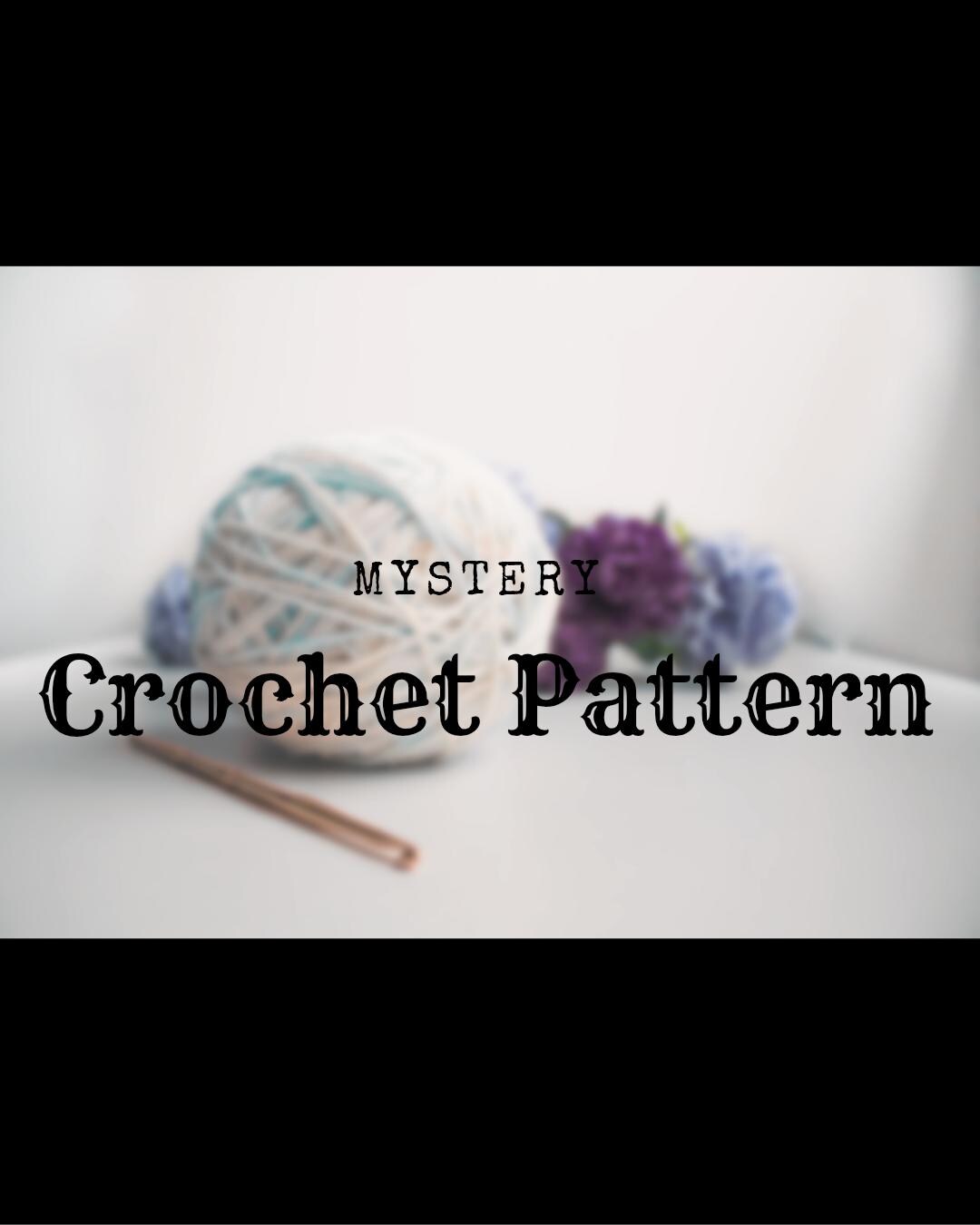 Mystery Crochet Pattern for Beginners - Etsy