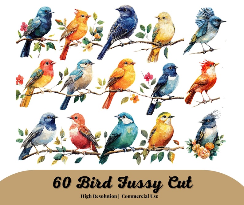 700+ Bird Clipart, Colorful Watercolor Birds, Bird Species Images, Bird ...