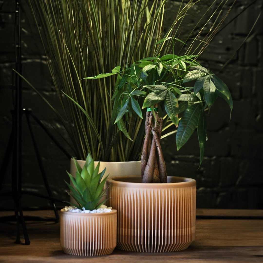 Regal Radiance / Indoor Wooden Planter Pot / A Perfect Gift for Plant ...