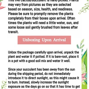 Rare Blue Candle Crest Cactus-myrtillocactus Geometrizans Cristata ...