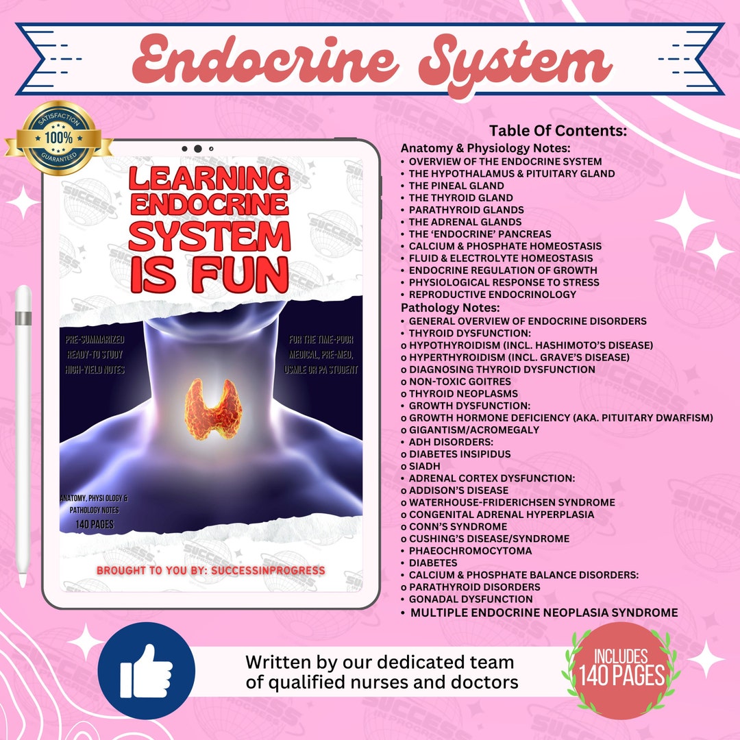 Endocrine System L Endocrine Study Bundle for Nursing L Endocrine ...