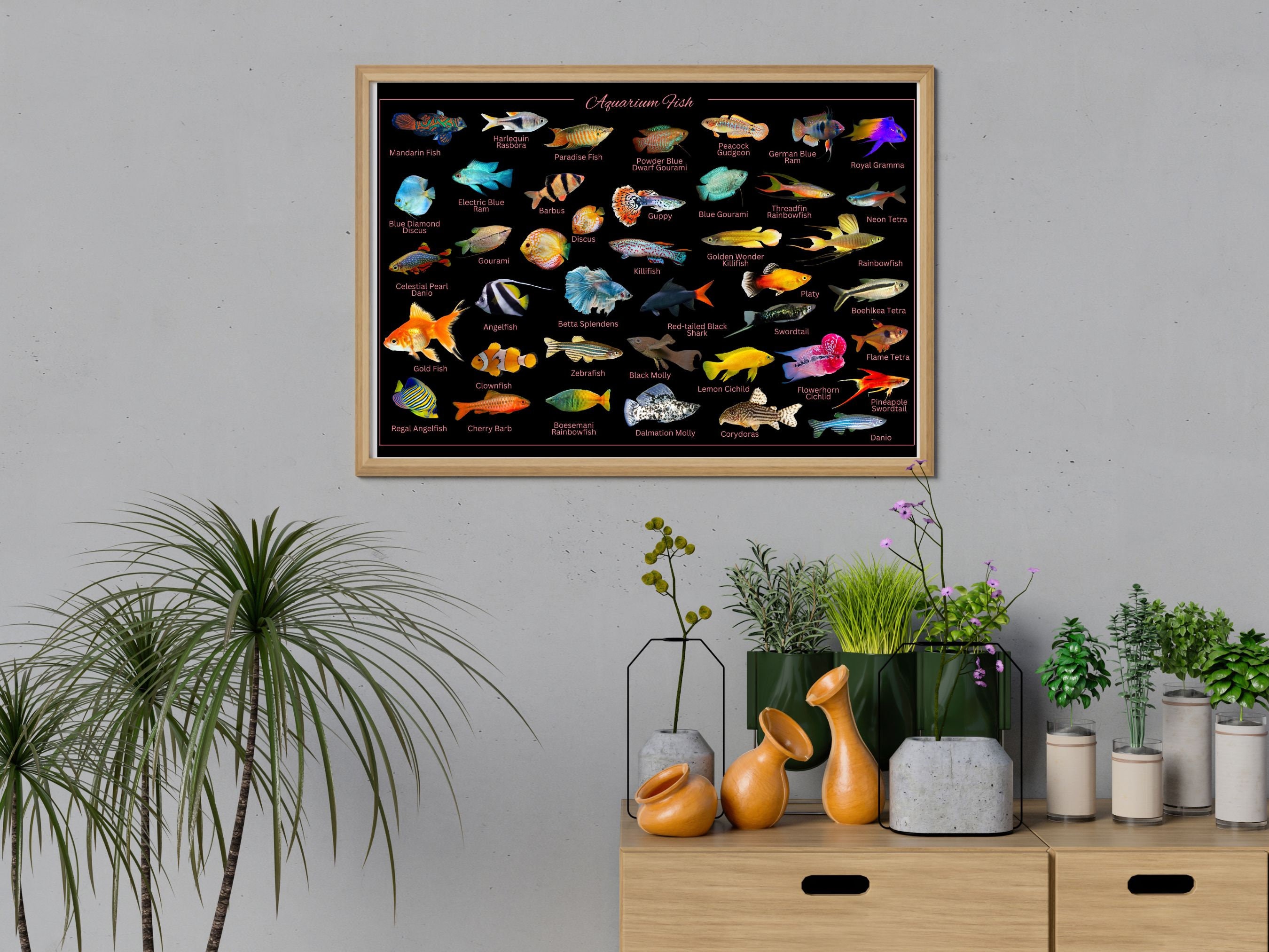 Aquarium Fish Poster - Educational - for Kids - Digital Product - Art ...