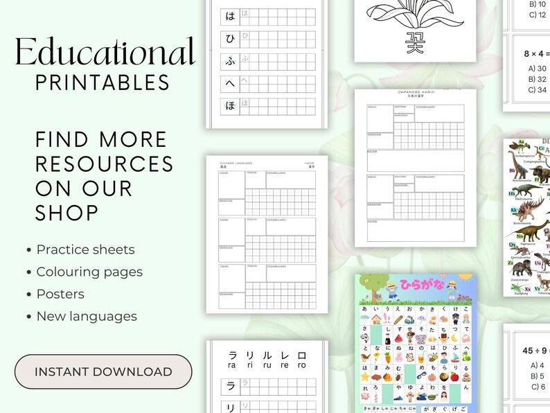 HANZI Practice Worksheet - Chinese Language - Educational Digital ...