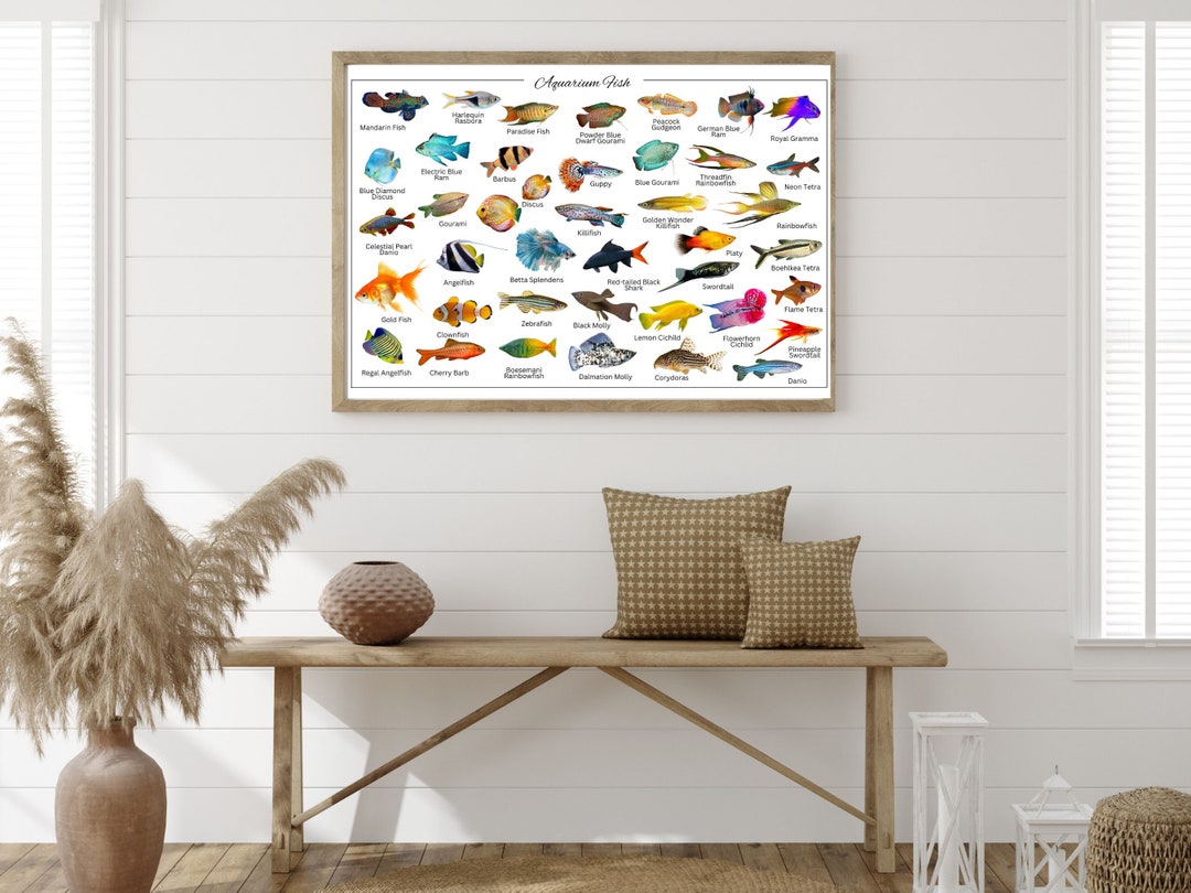 Aquarium Fish Poster - Educational - for Kids - Digital Product - Art ...