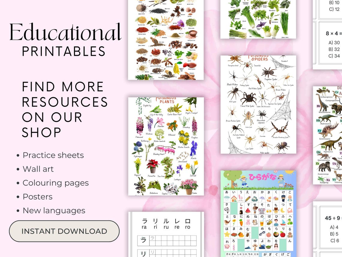 Gemstones Educational Poster Instant Digital Download - Wall Decor ...