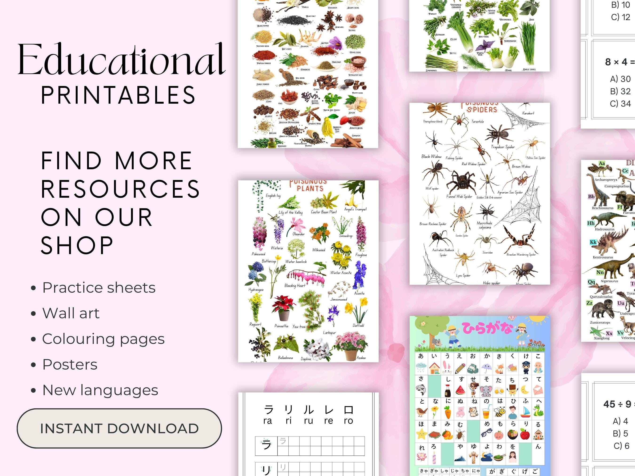 Gemstones Educational Poster Instant Digital Download - Wall Decor ...
