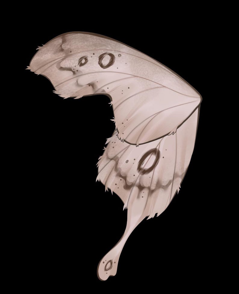 Live 2D Moth Assets - Etsy