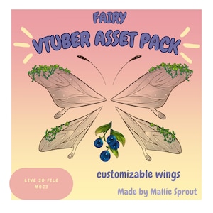 Vtuber Fairy Asset Pack- Live 2D - Etsy
