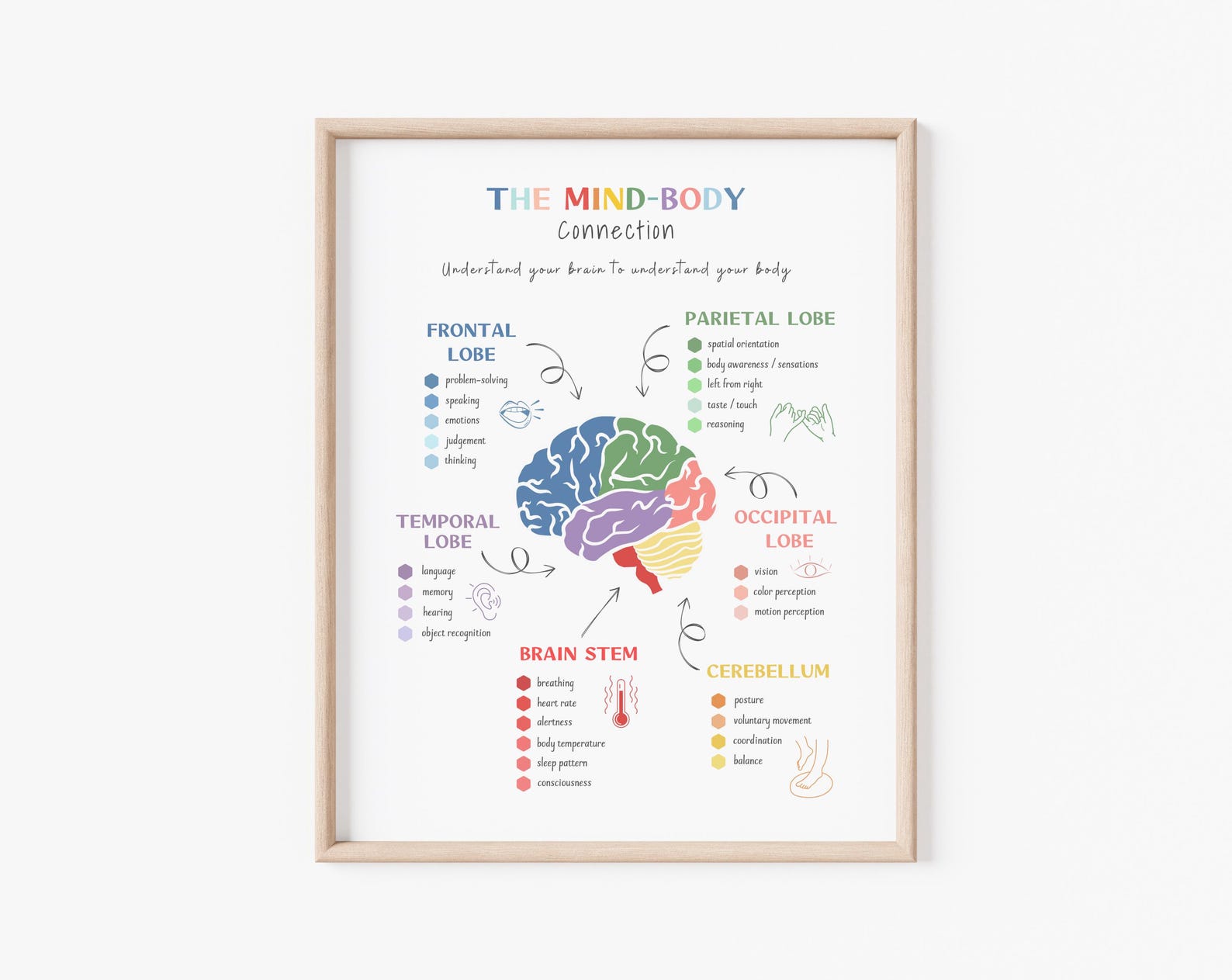 Mind Body Connection Poster, Human Brain, Brain Anatomy Print ...