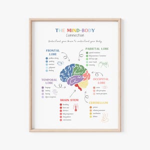 Mind Body Connection Poster, Human Brain, Brain Anatomy Print ...