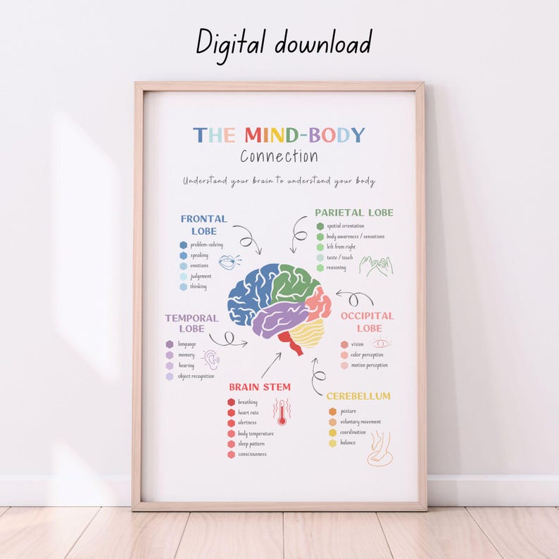 Mind Body Connection Poster, Human Brain, Brain Anatomy Print ...