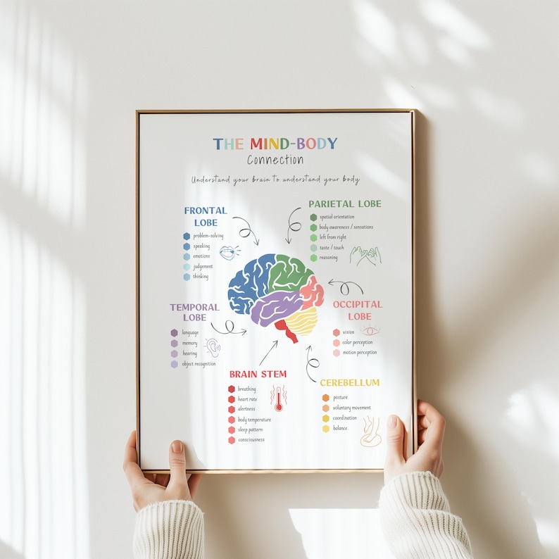 Mind Body Connection Poster, Human Brain, Brain Anatomy Print ...