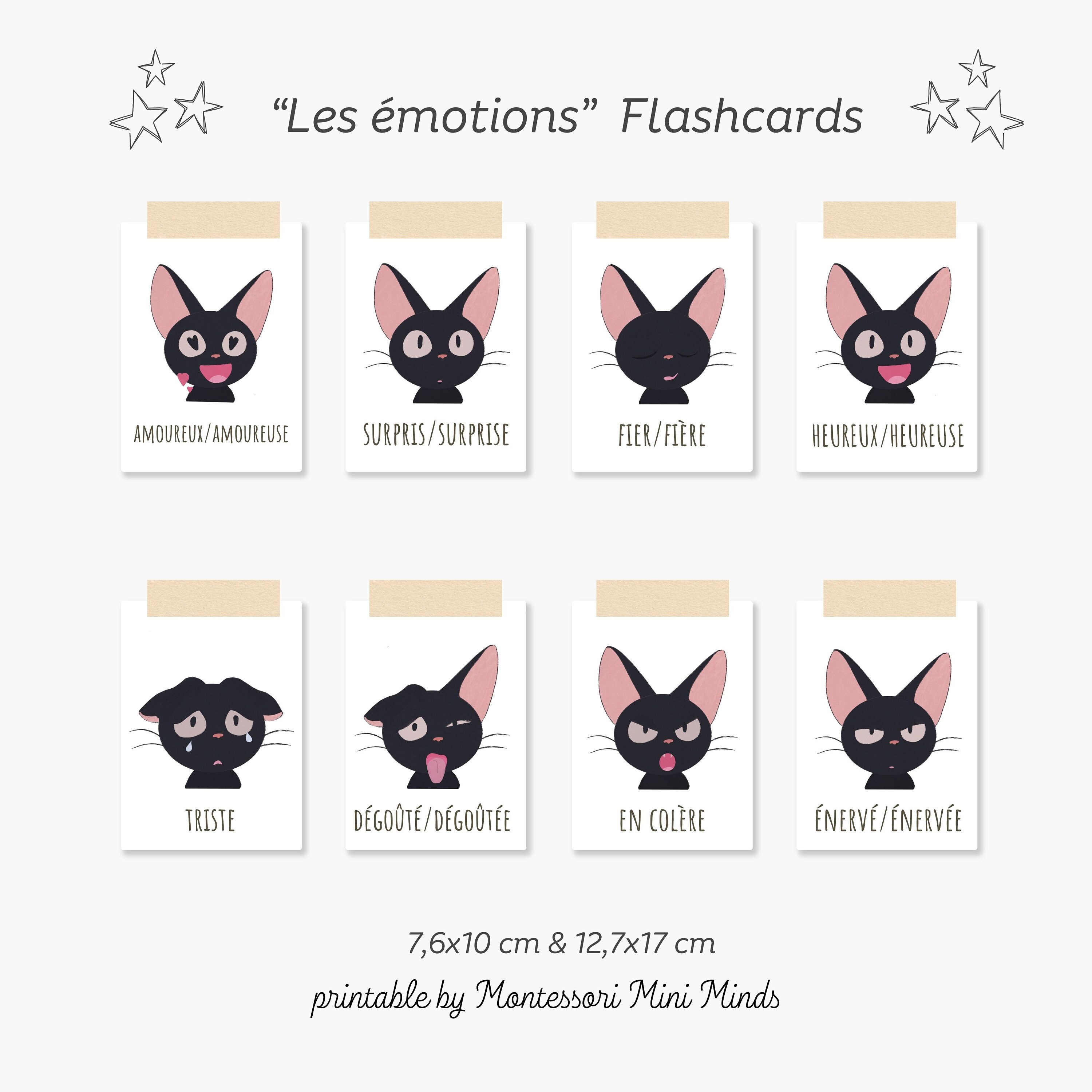 French Emotions Flash Cards, Emotions Chartes, Feelings Flash Cards ...