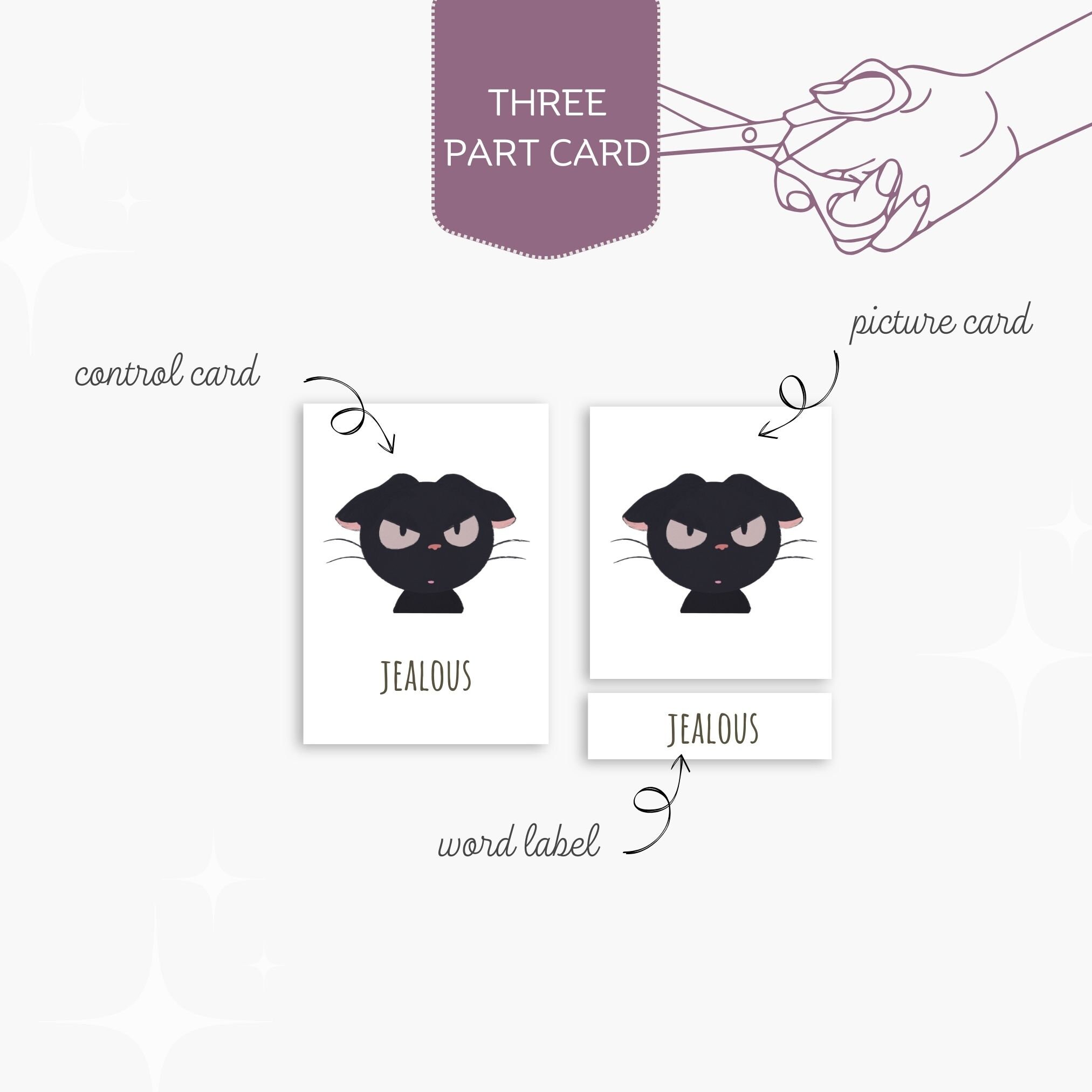 Feelings Flash Cards, Emotions Chart, Feelings Flash Cards Nomenclature ...