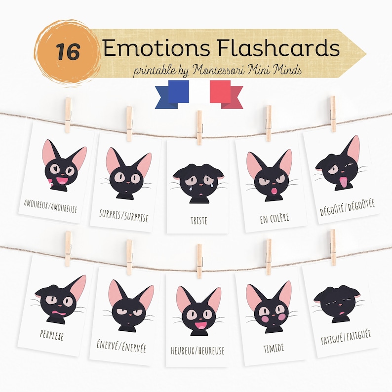 French Emotions Flash Cards, Emotions Chartes, Feelings Flash Cards ...