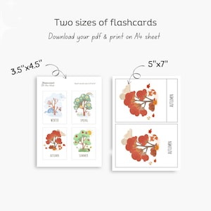 FOUR SEASONS Vocabulary, 4 Montessori Cards, Season Flash Cards ...