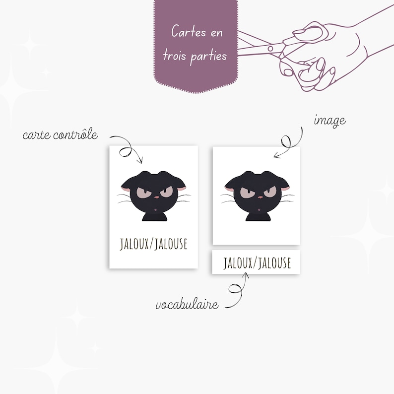 French Emotions Flash Cards, Emotions Chartes, Feelings Flash Cards ...