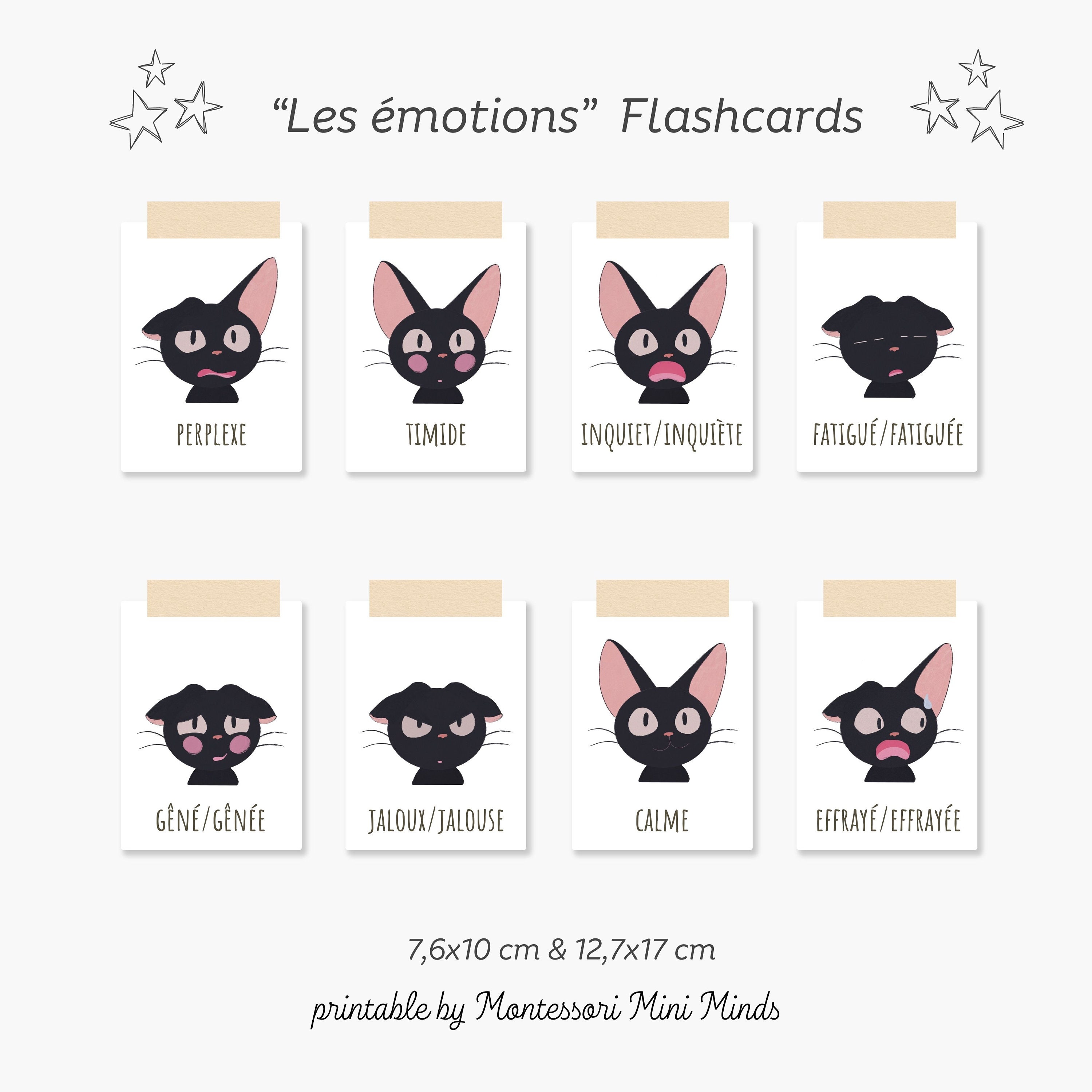 French Emotions Flash Cards, Emotions Chartes, Feelings Flash Cards ...