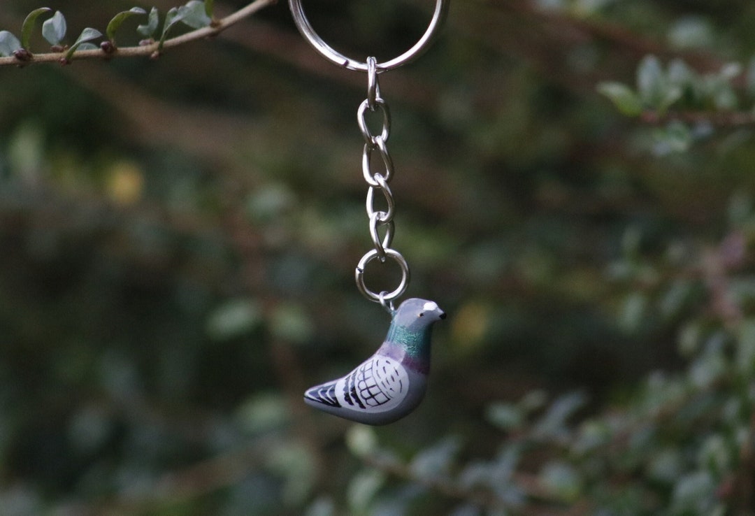 Feral Pigeon Bird Keychain, Columba Livia Domestica - Etsy