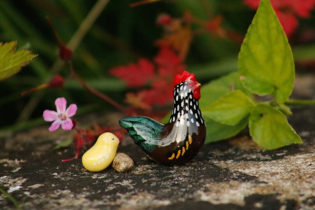 Chicken Rooster Father and Baby Chicks Pin Set, Gallus Gallus ...