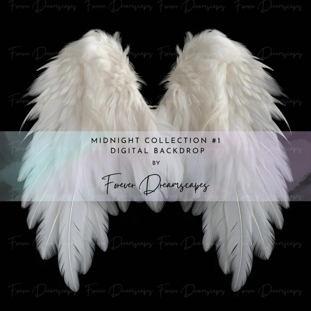 Midnight Collection, Angel Wings Background, Motherhood, Newborn ...