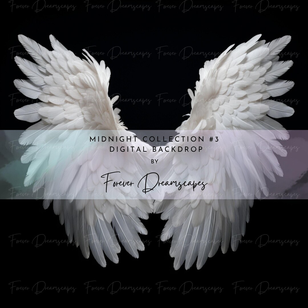 Midnight Collection, Angel Wings Background, Motherhood, Newborn ...