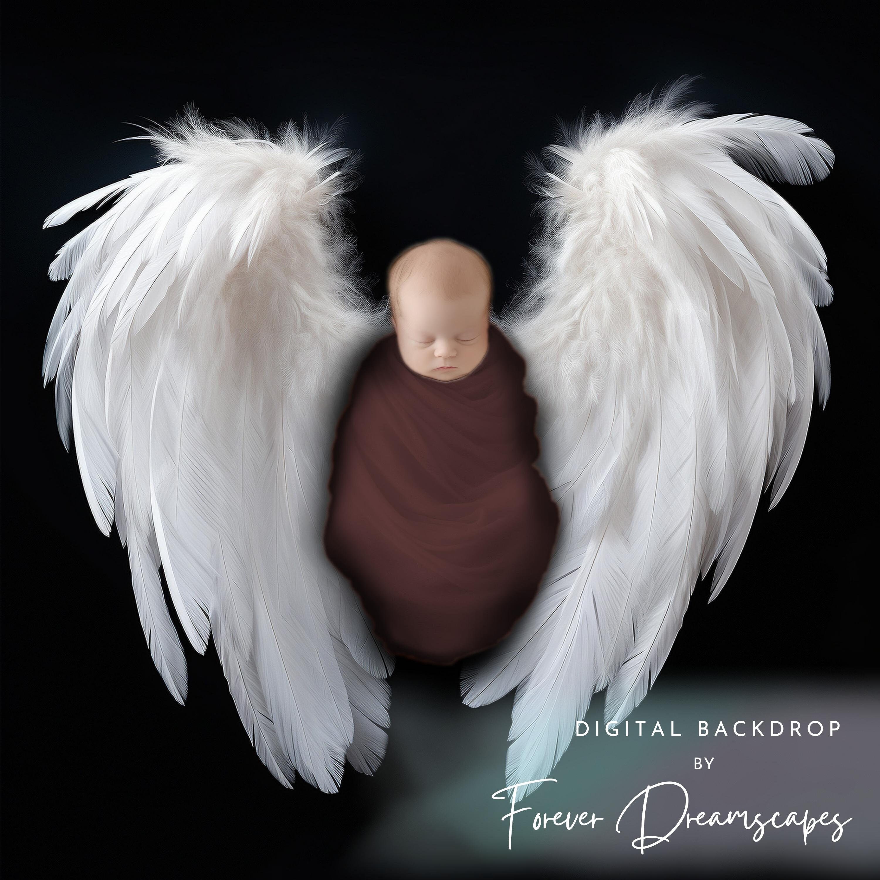 Midnight Collection, Angel Wings Background, Motherhood, Newborn ...