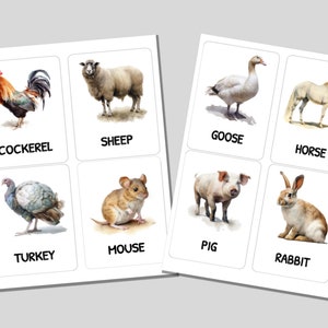 16 Farm Animal Name Cards Montessori 2-part Flashcards Educational ...