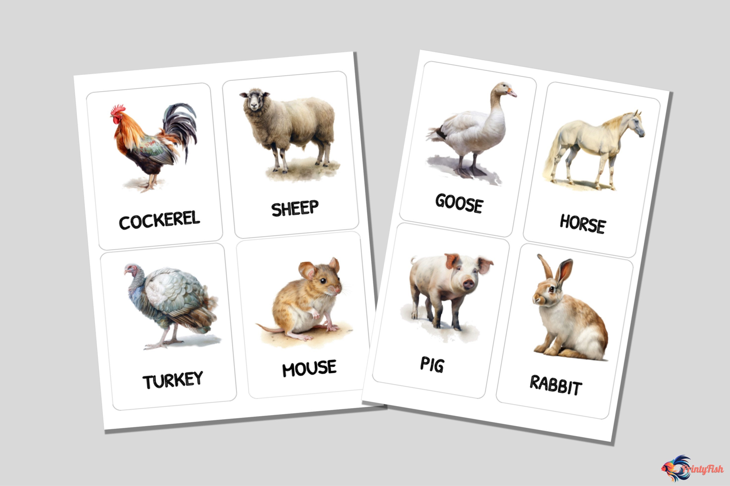 16 Farm Animal Name Cards Montessori 2-part Flashcards Educational ...