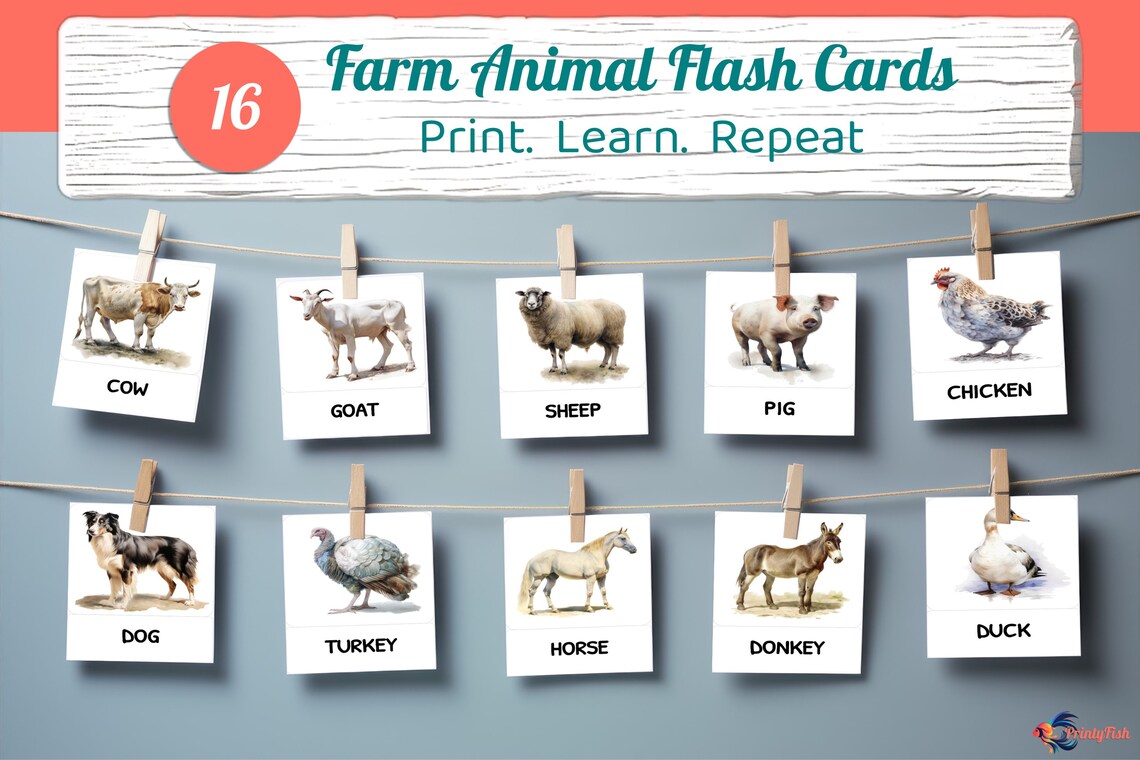 16 Farm Animal Name Cards Montessori 2-part Flashcards Educational ...