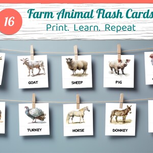 16 Farm Animal Name Cards Montessori 2-part Flashcards Educational ...