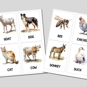16 Farm Animal Name Cards Montessori 2-part Flashcards Educational ...
