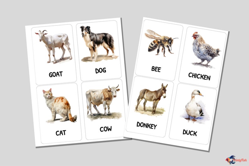 16 Farm Animal Name Cards Montessori 2-part Flashcards Educational ...