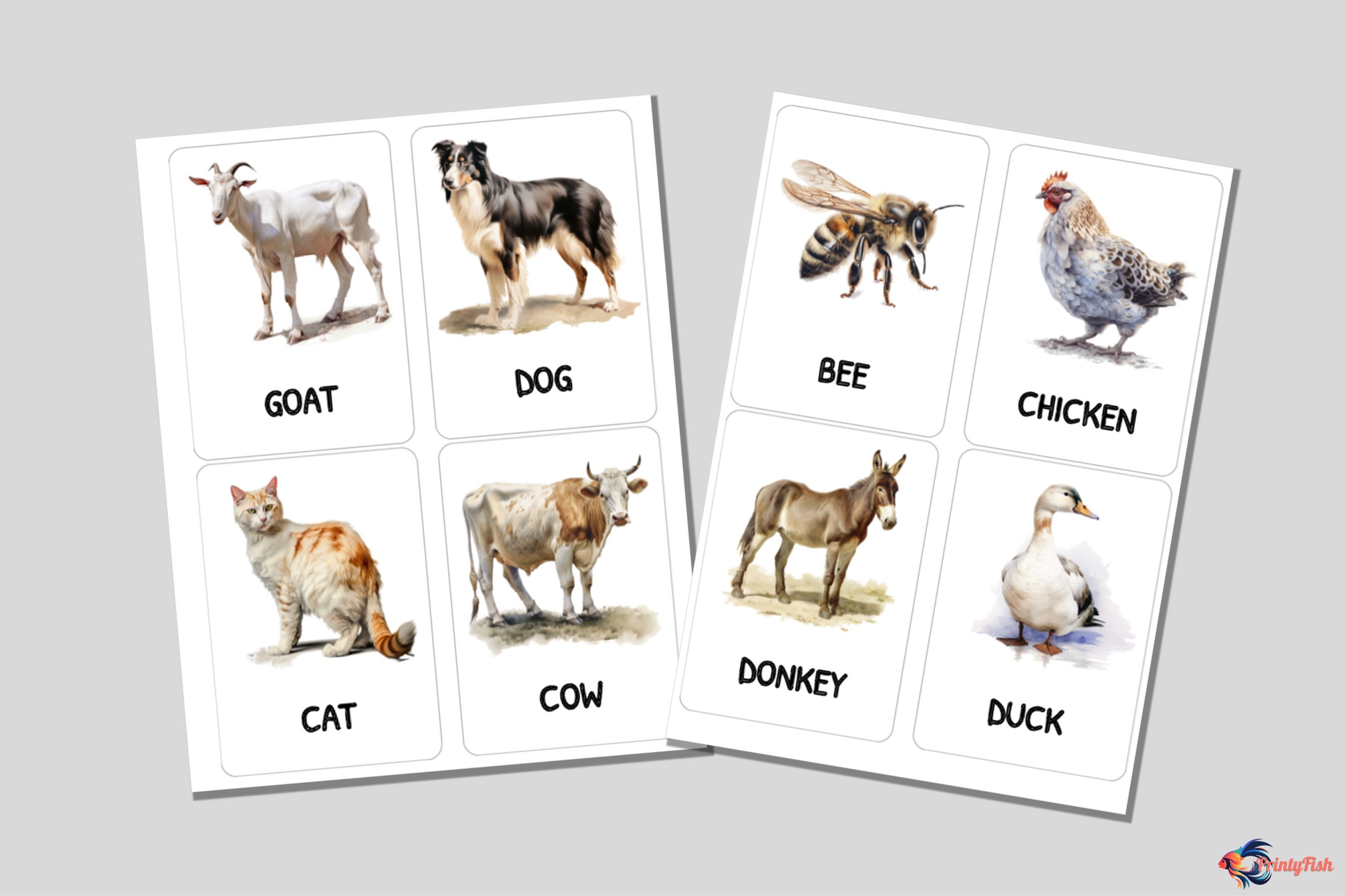 16 Farm Animal Name Cards Montessori 2-part Flashcards Educational ...