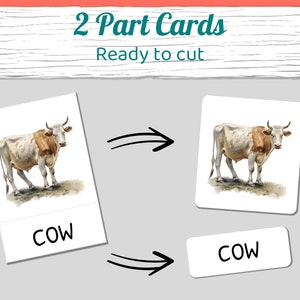 16 Farm Animal Name Cards Montessori 2-part Flashcards Educational ...