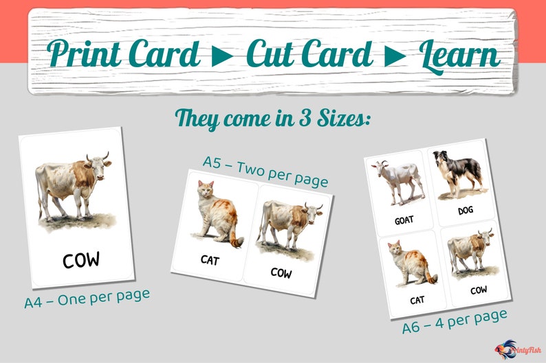 16 Farm Animal Name Cards Montessori 2-part Flashcards Educational ...