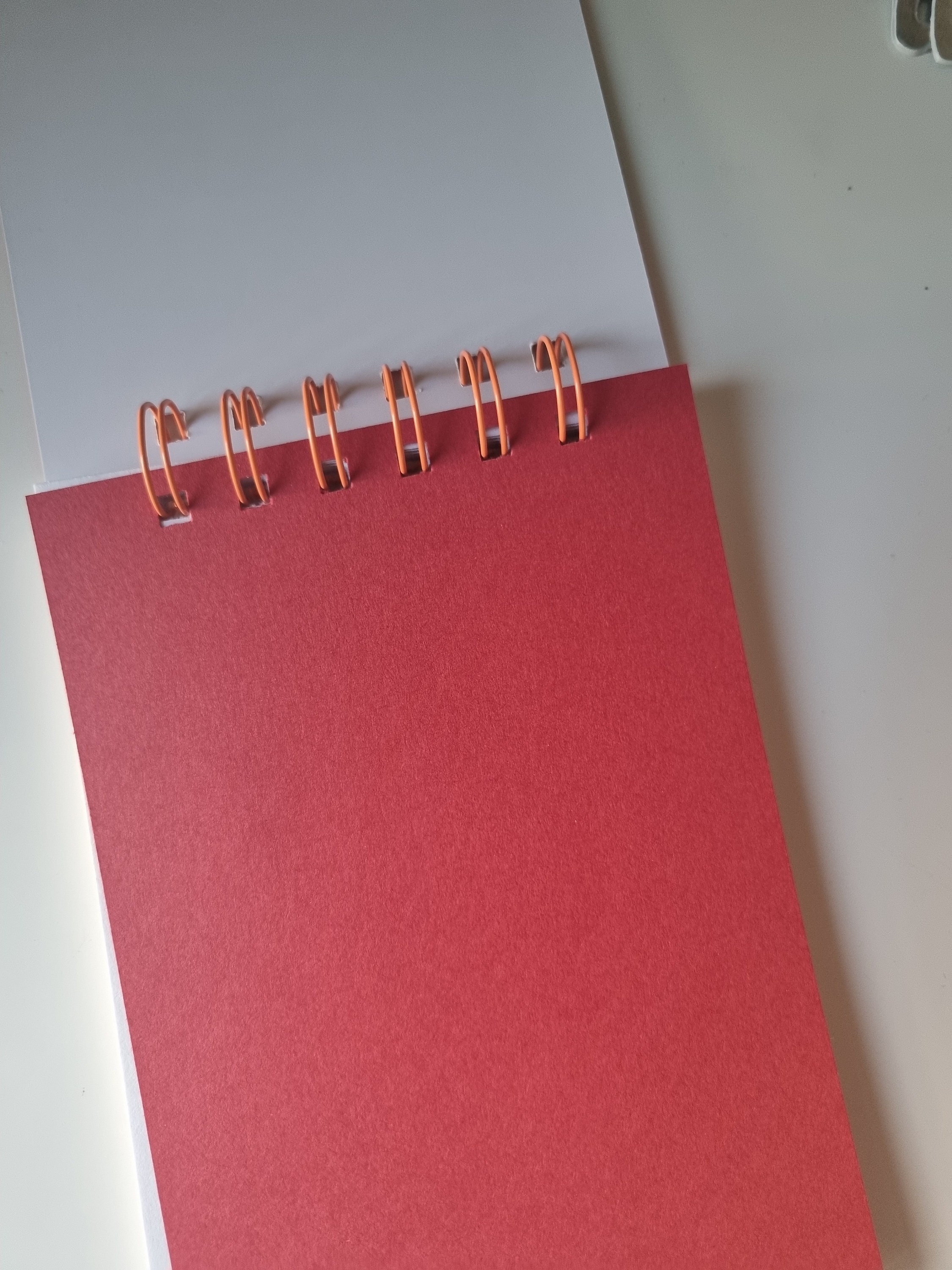 SLAY THE DAY A6 Notebook, Spiral Bound Blank Notebook, 50 Pages, Bright ...