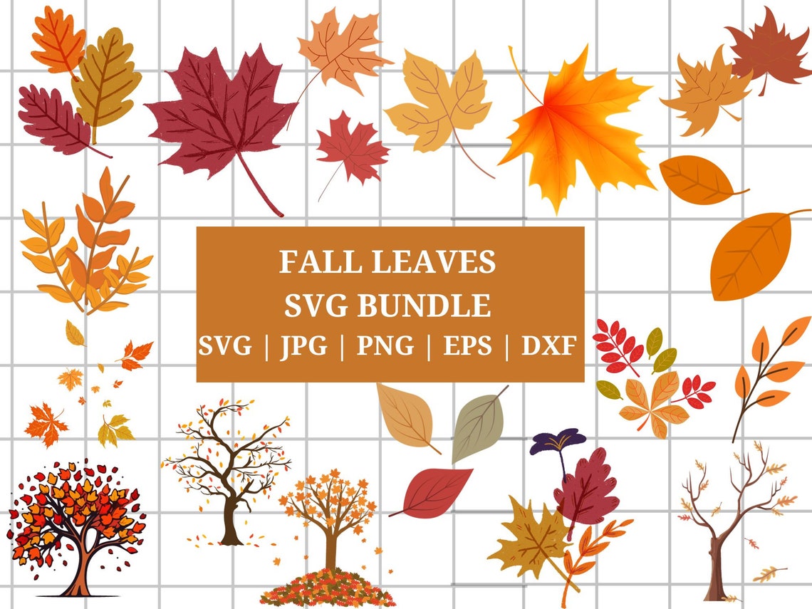 Fall Leaves Svg, Fall Svg, Fall Leaf Svg Bundle, Fall Png, Dxf, Clipart ...