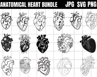 Anatomical Heart Svg Bundle, Flower Heart Svg, Human Heart Svg, Anatomy ...