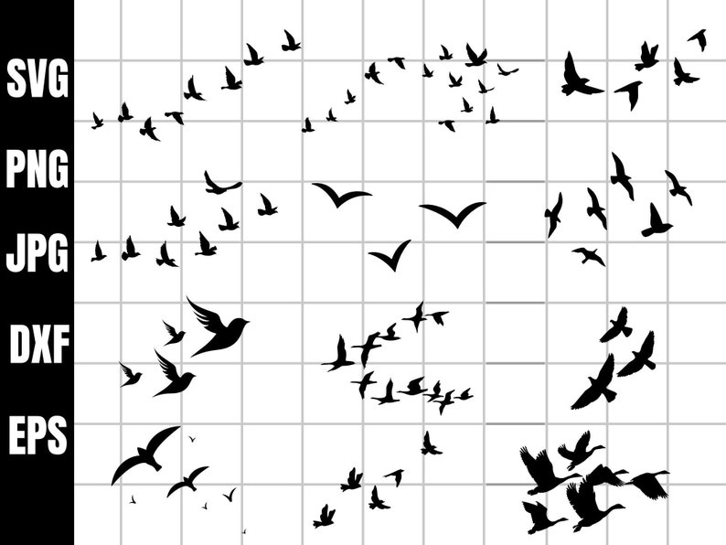 Bird SVG, Bird Svg Bundle, Flying Bird Svg, Animal Svg, Bird Clip Art ...