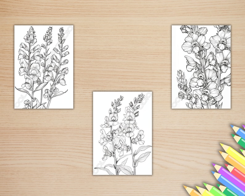 20 Beautiful Snapdragon Fower Coloring Pages Made for Kids and Adults ...