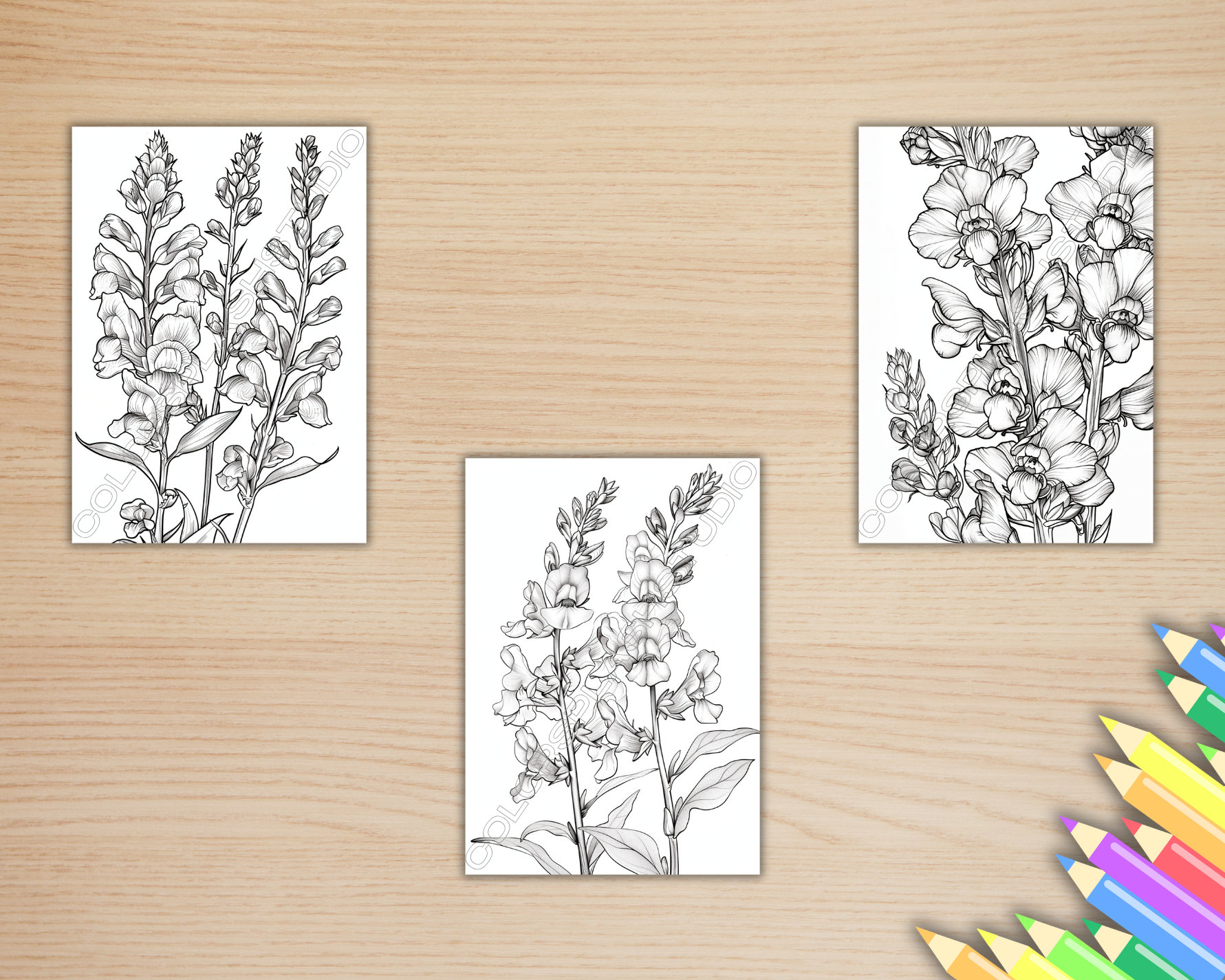 20 Beautiful Snapdragon Fower Coloring Pages Made for Kids and Adults ...