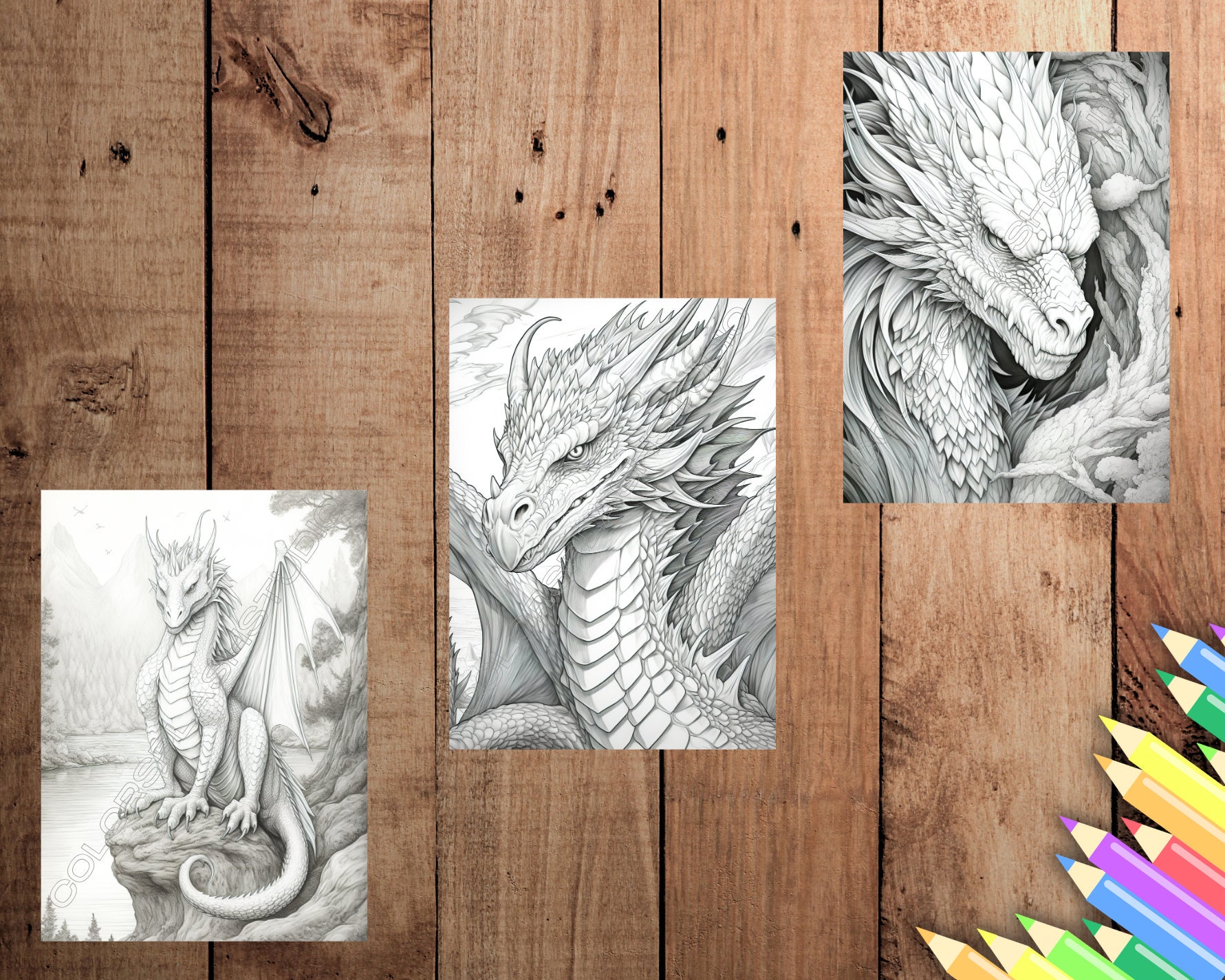 40 Realistic Dragons Coloring Pages Set Pt.4 Adult Kids Coloring Pages ...