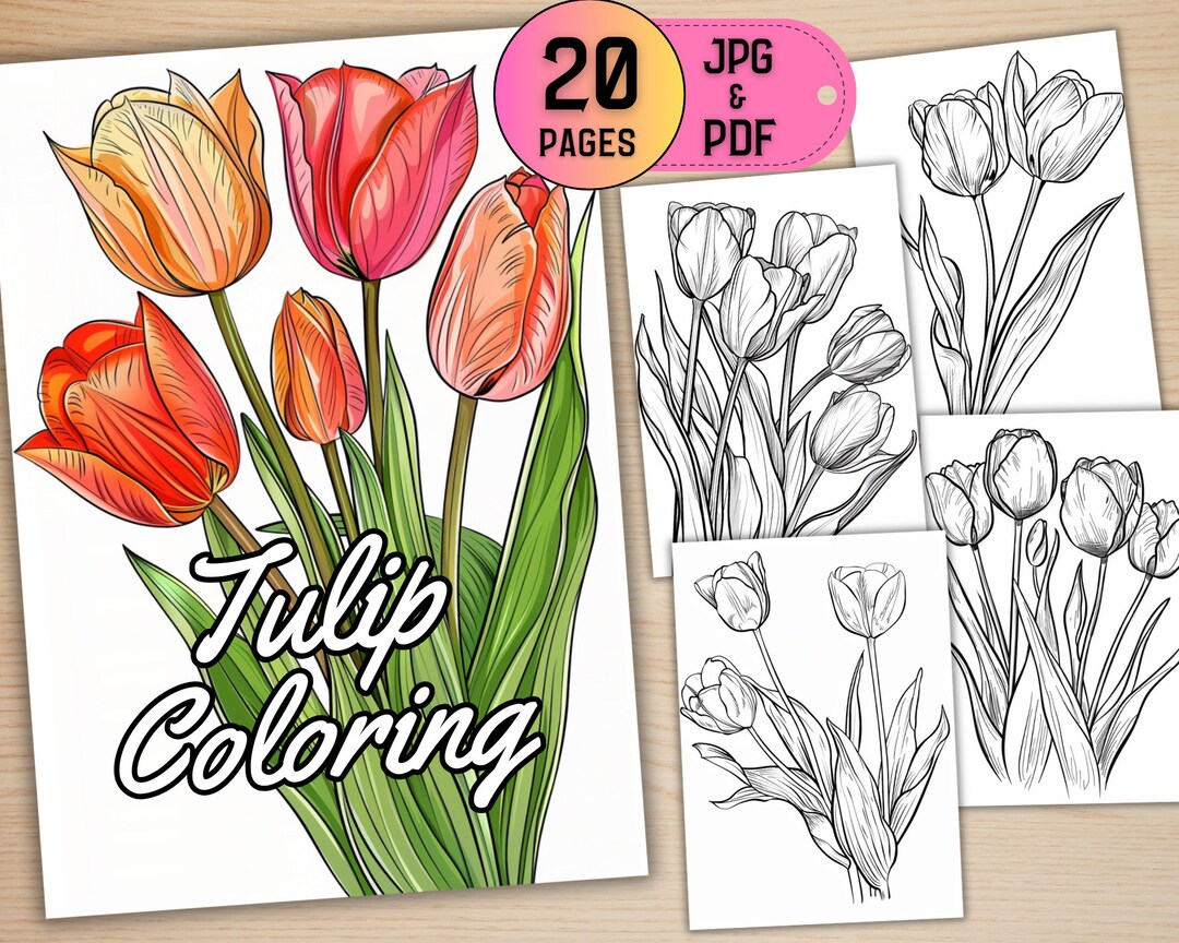 20 Blooming Tulip Coloring Pages for Kids and Adults, Flower Coloring ...