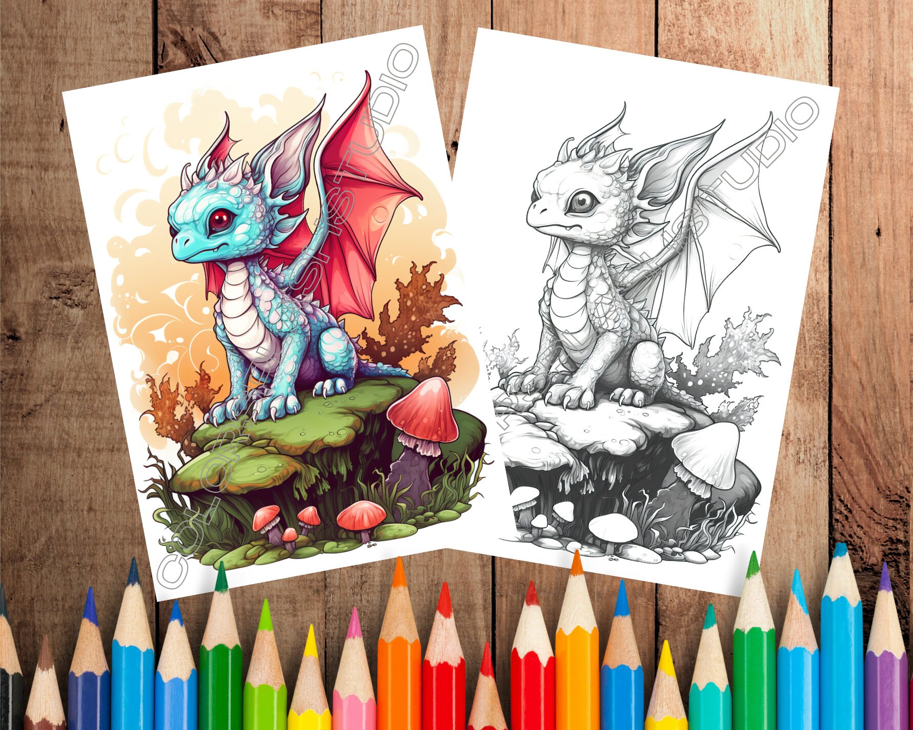 12 Fantasy Dragon Baby Coloring Book Pt.4 Adult & Kids - Etsy