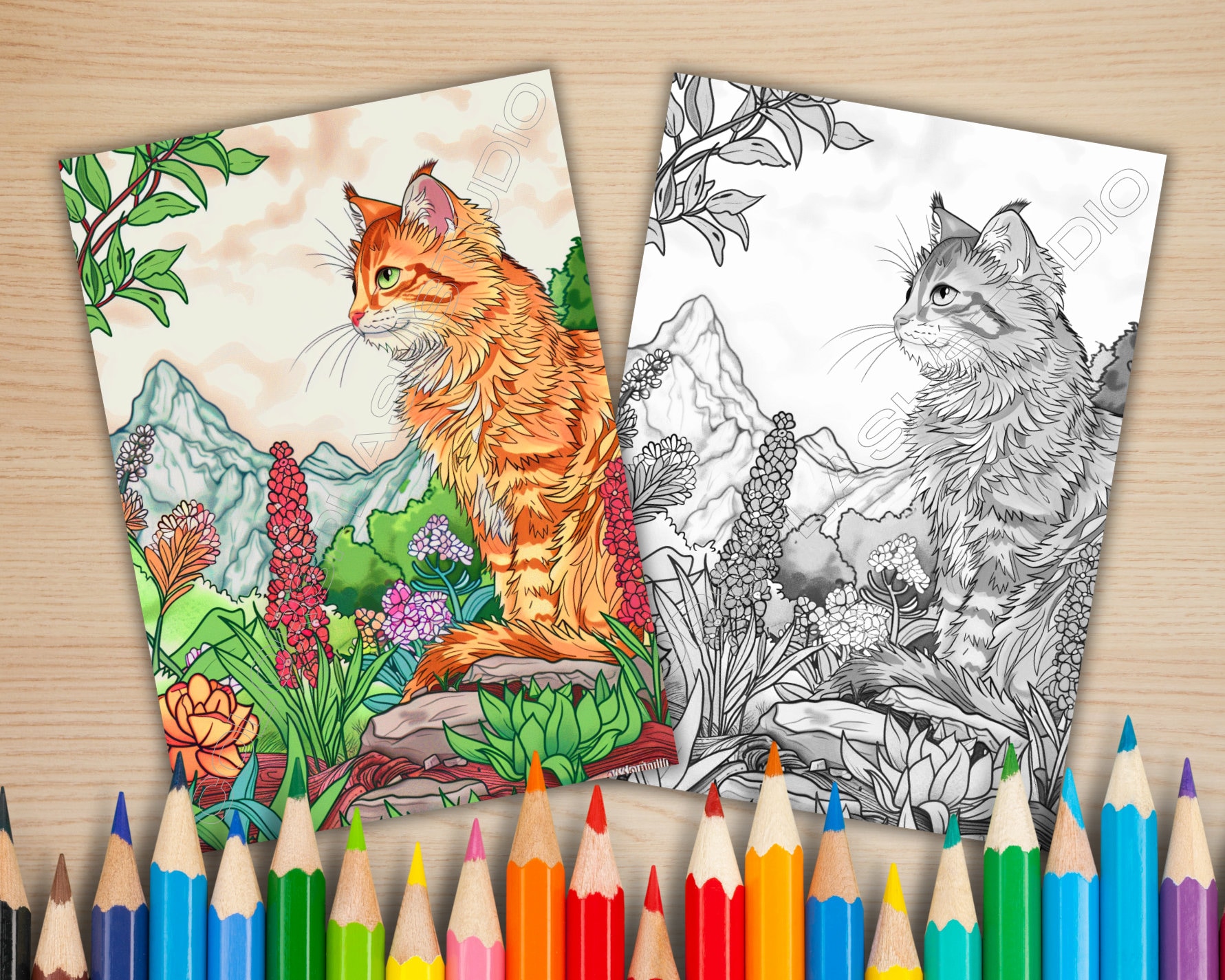 20 Cute Cats in the Wild Coloring Pages for and Adults, Animal Coloring ...