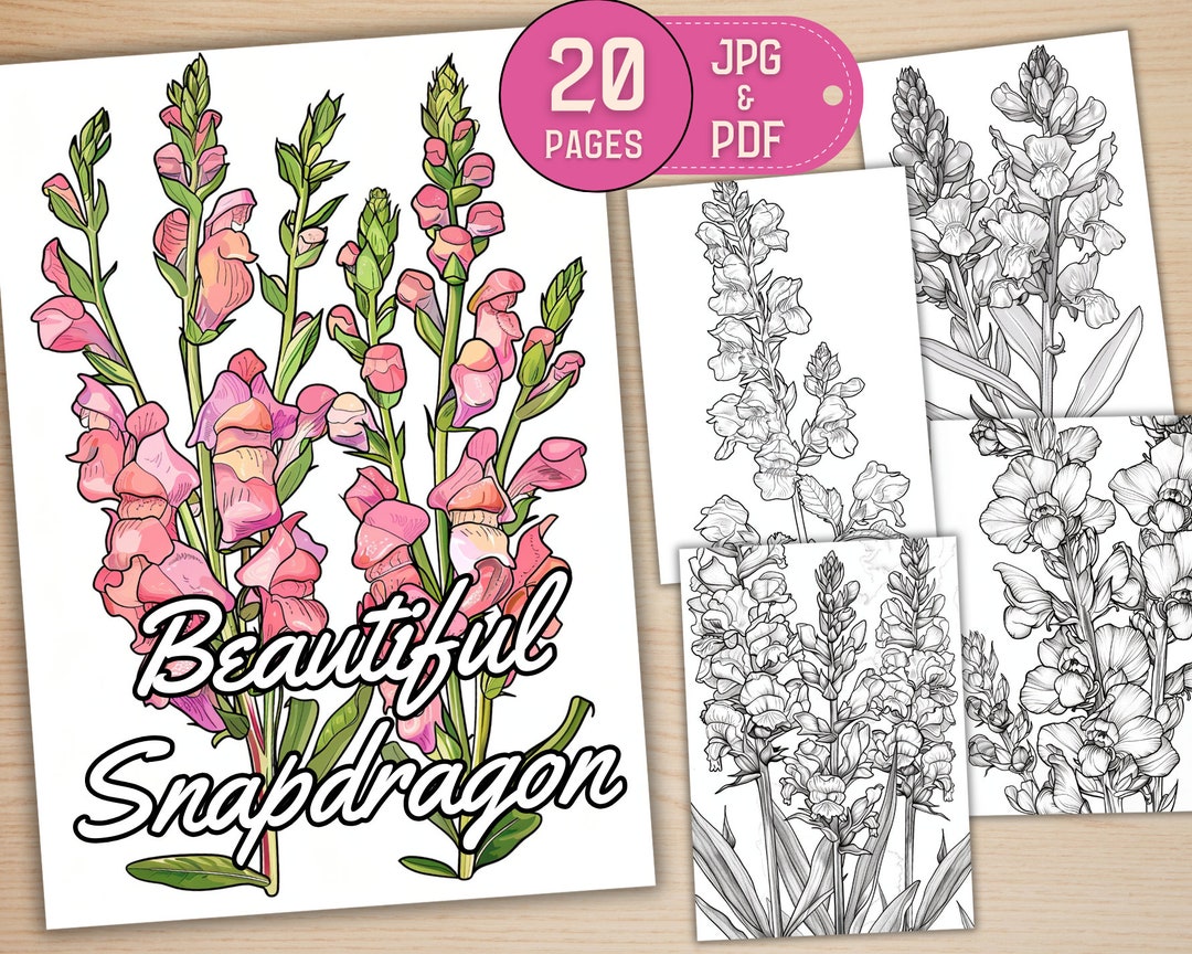 20 Beautiful Snapdragon Fower Coloring Pages Made for Kids and Adults ...