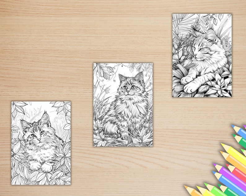 20 Cute Cats in the Wild Coloring Pages for and Adults, Animal Coloring ...
