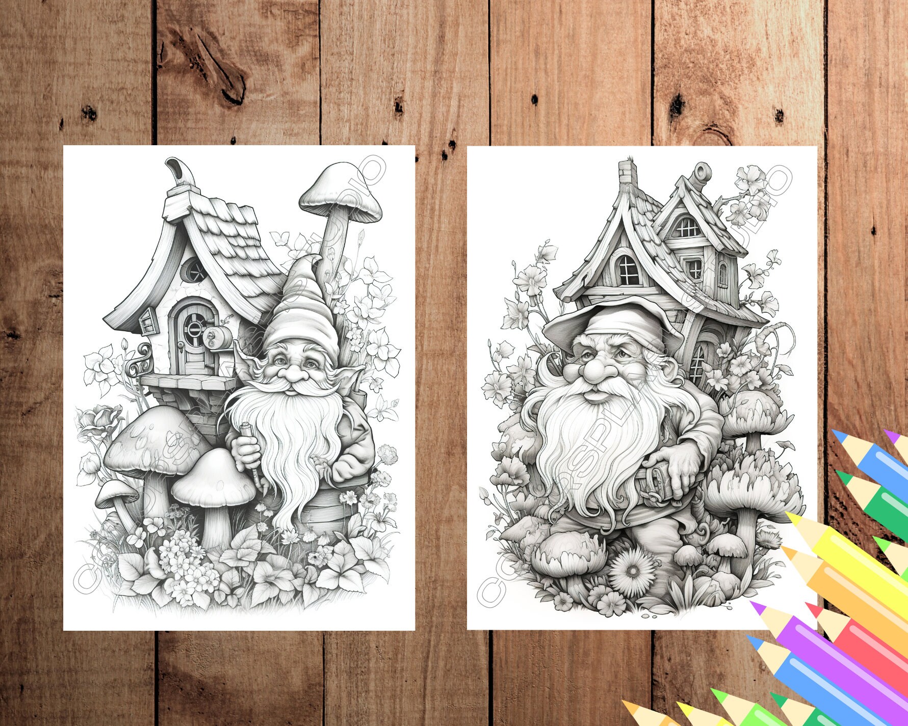 12 Gnome With Fairy Homes Coloring Pages Pt.3 Fantasy Coloring Pages ...